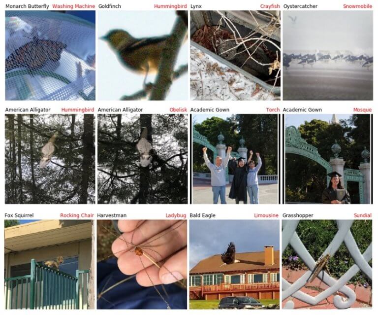 Top Artificial Intelligence Fails in Image and Facial Recognition ...